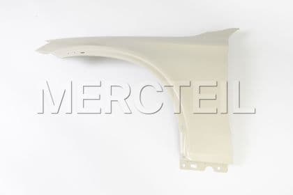 Buy the spare part Mercedes-Benz A2538800118 front fender