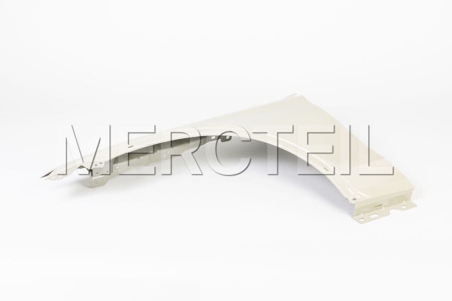 Buy the spare part Mercedes-Benz A2538800118 front fender