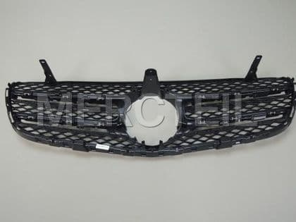 Buy the spare part Mercedes-Benz A2538882100 radiator grille frame