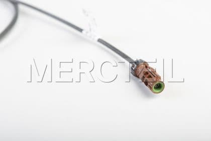 Buy the spare part Mercedes-Benz A2905406902 electrical wiring harness