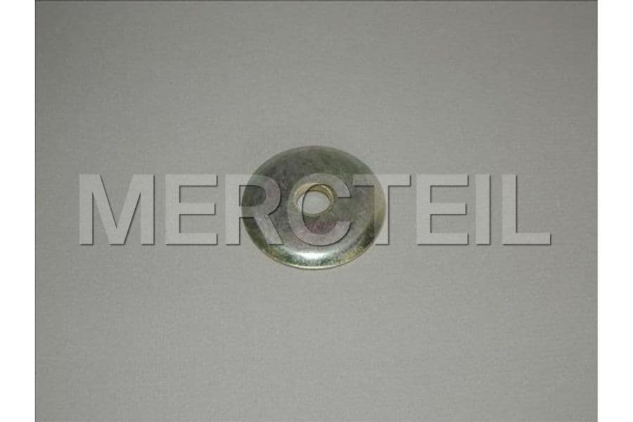 Buy the spare part Mercedes-Benz A3173230667 retainer washer
