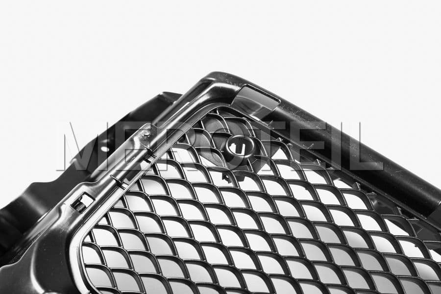 Buy the spare part Mercedes-Benz A4638850254 cover grille