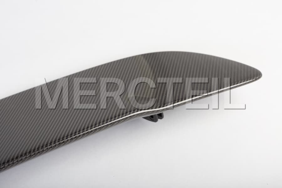 AMG GT Static Rear Wing Spoiler Carbon X290 Genuine Mercedes-AMG ...