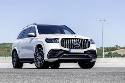 GLS-Class 63 AMG Panamericana Grille 167 Genuine Mercedes-AMG ...